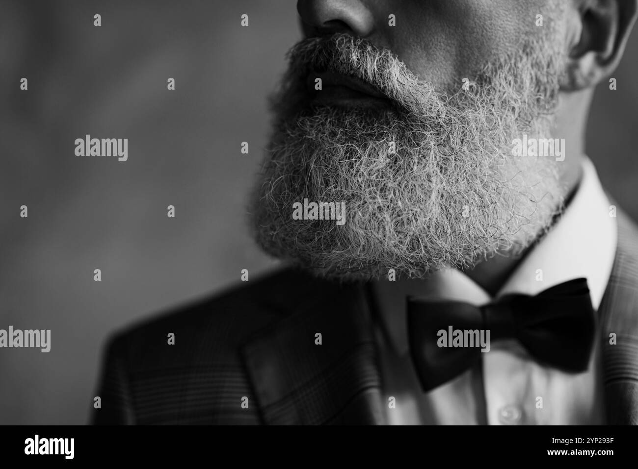 Well groomed businessman beard Black and White Stock Photos & Images ...