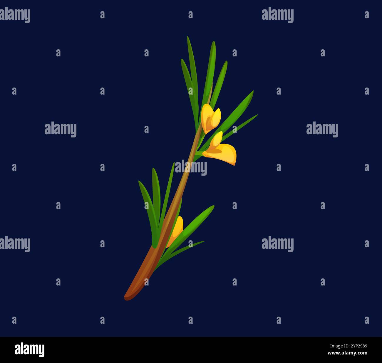 African blooms Stock Vector Images - Alamy