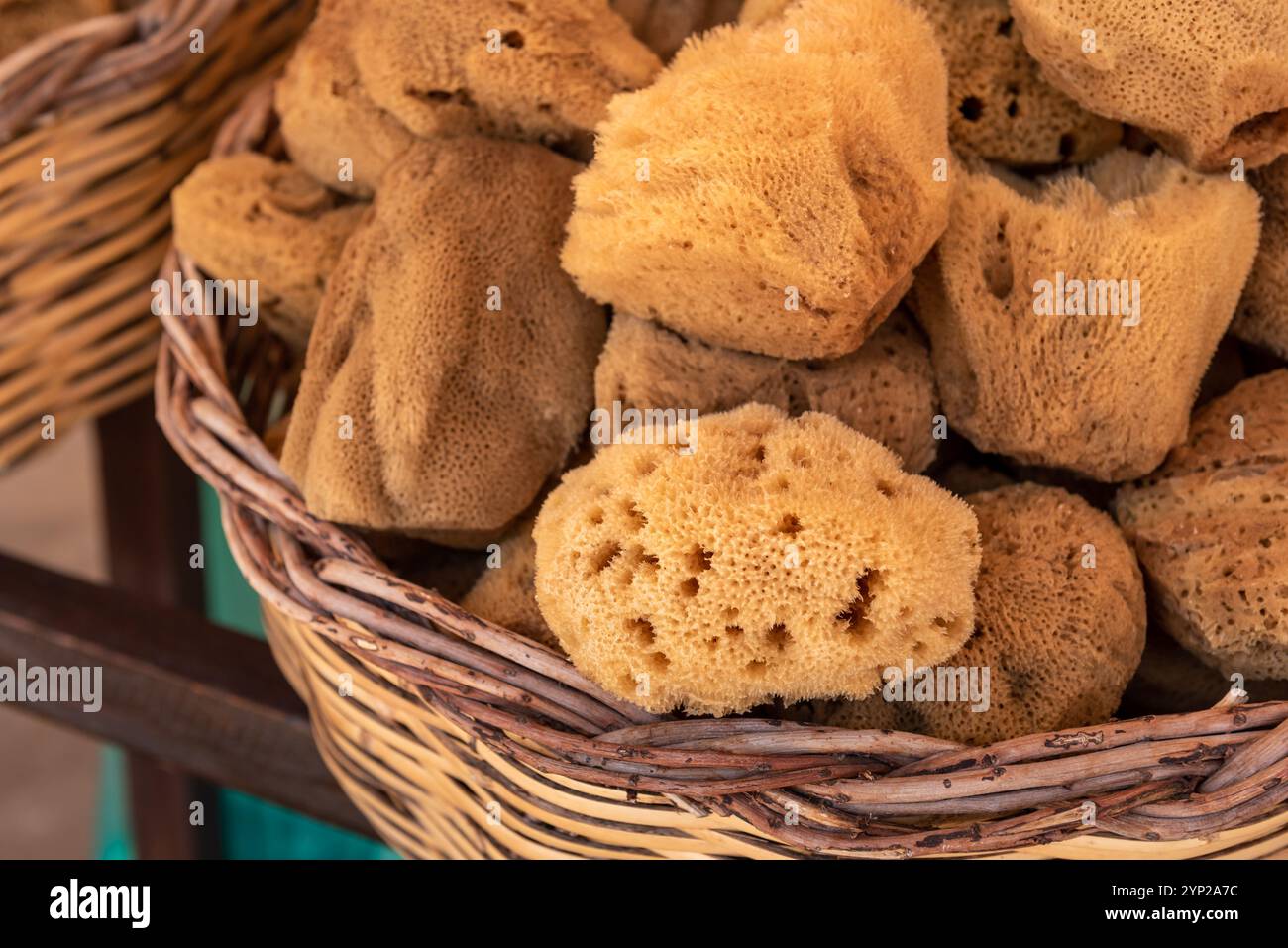Natural sponges in local hi-res stock photography and images - Alamy