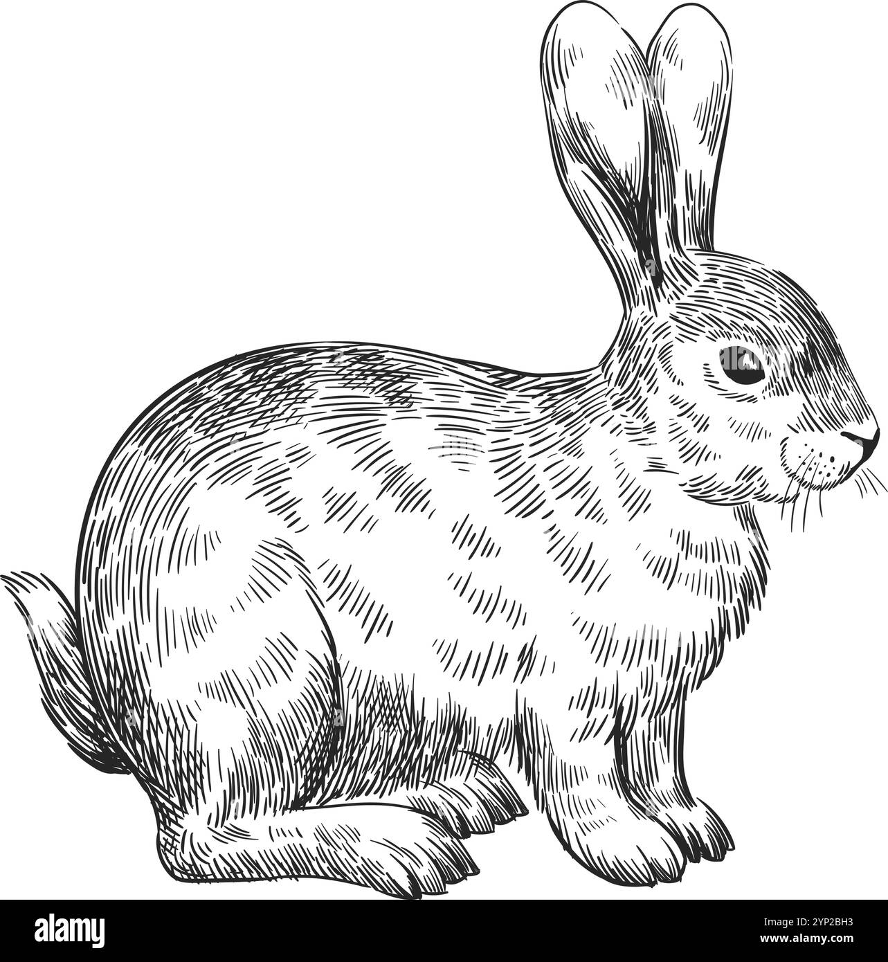 Cute rabbit sketch. Hare drawing. Animal print isolated on white ...