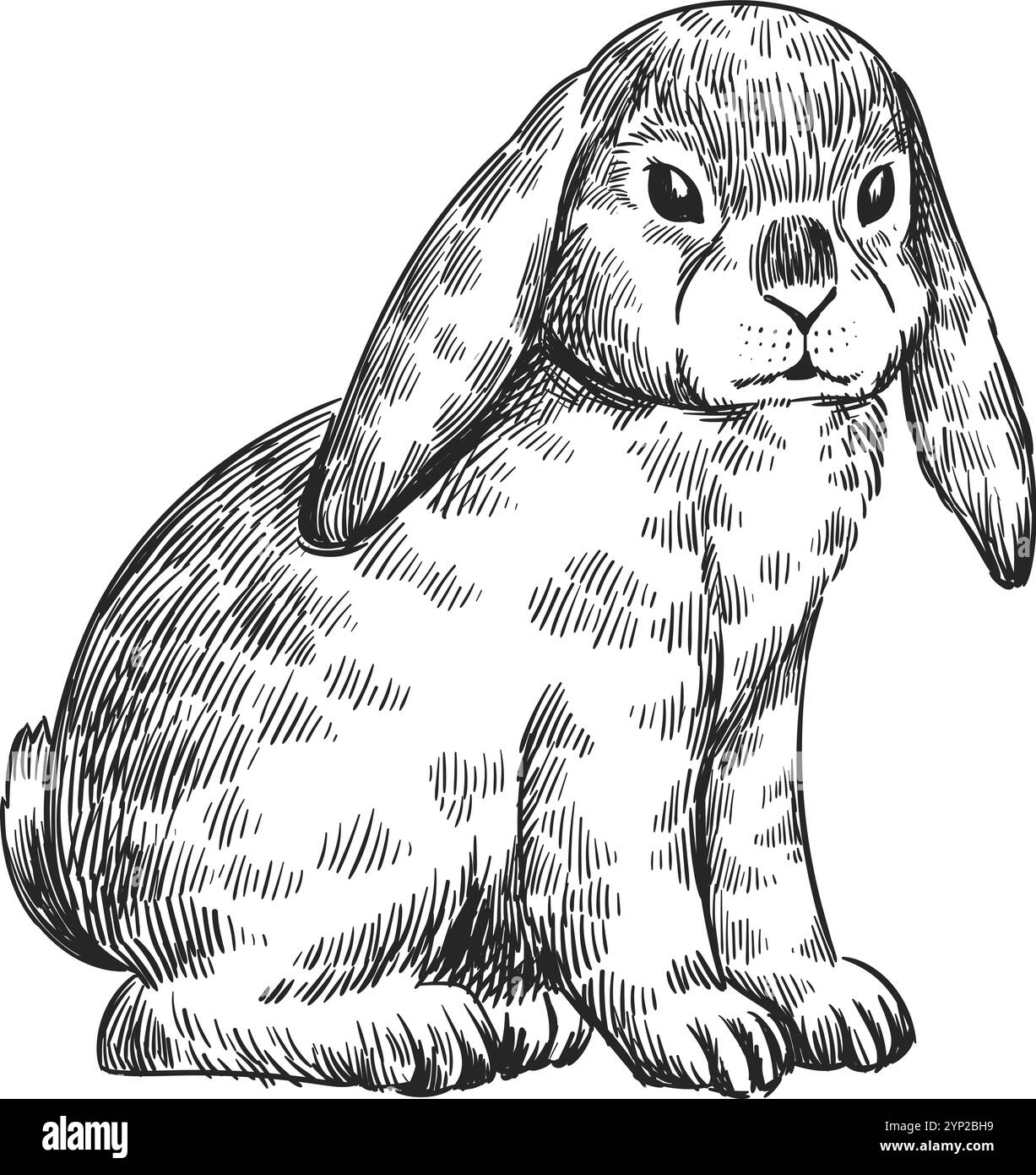 Rabbit baby sketch. Adorable cute bunny drawing isolated on white ...