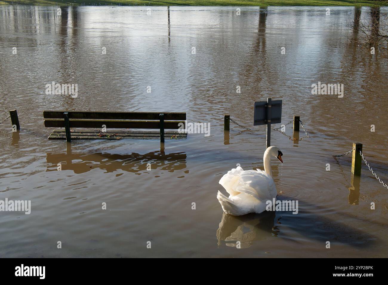 Datchet, UK. 28th November, 2024. A Flood Alert is in place for the ...