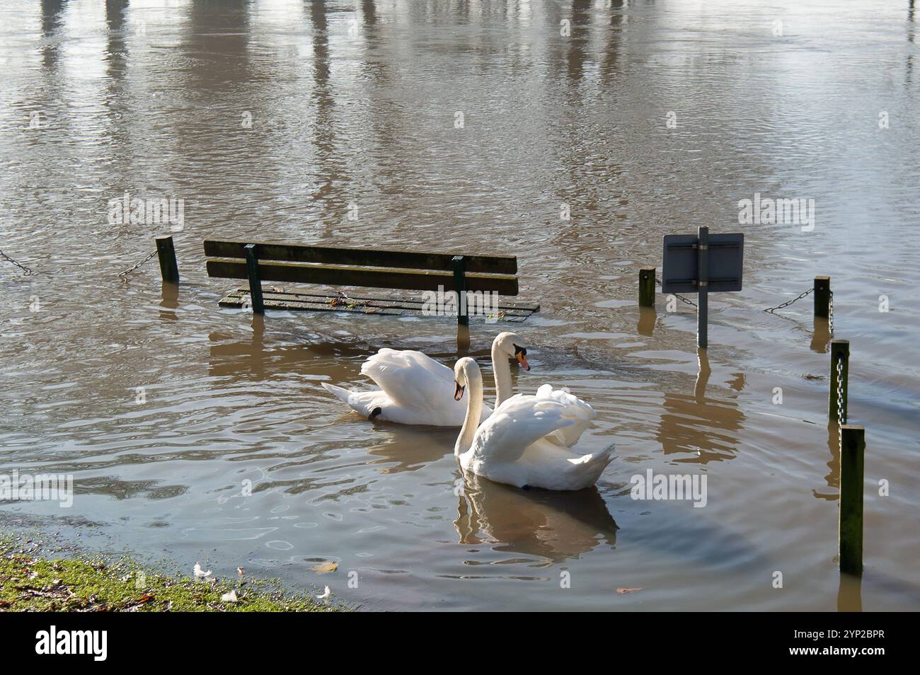 Datchet, UK. 28th November, 2024. A Flood Alert is in place for the ...