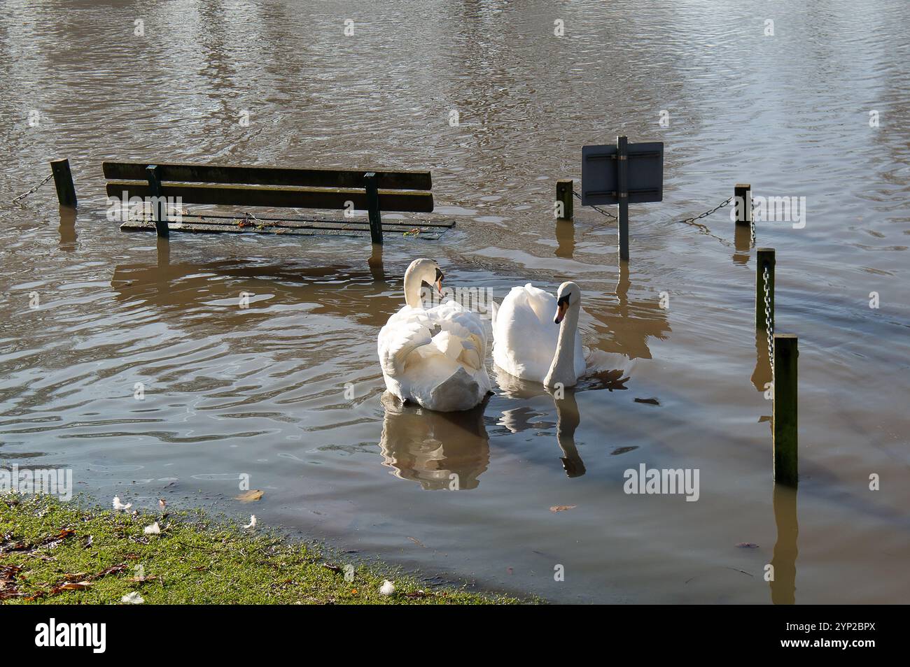 Datchet, UK. 28th November, 2024. A Flood Alert is in place for the ...