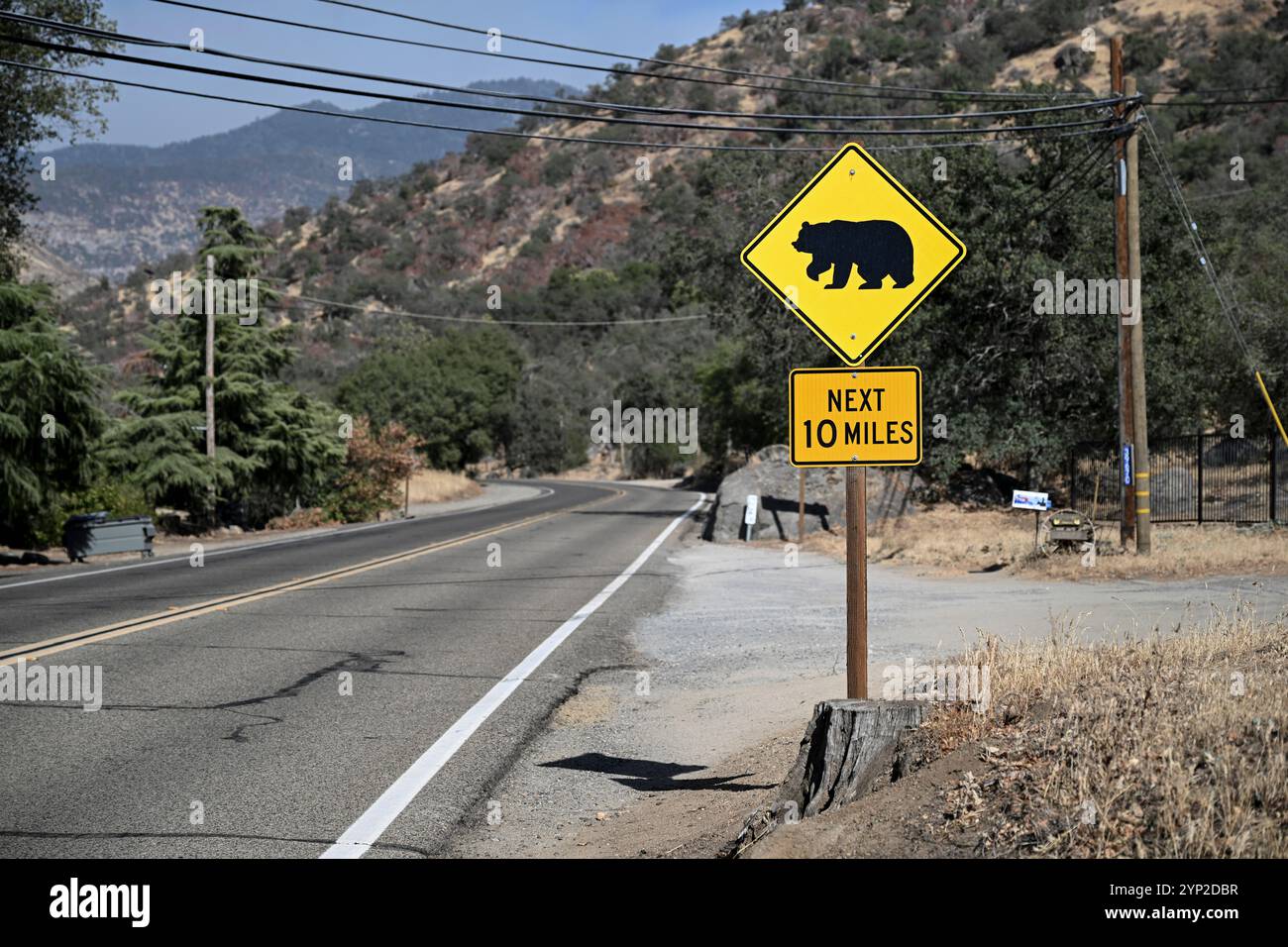 Road sign warning motorists of Bears in the area, for the next 10 miles ...