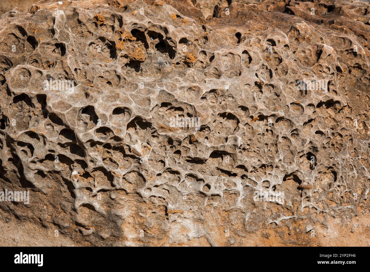 background image texture of stone with holes like the lunar surface ...