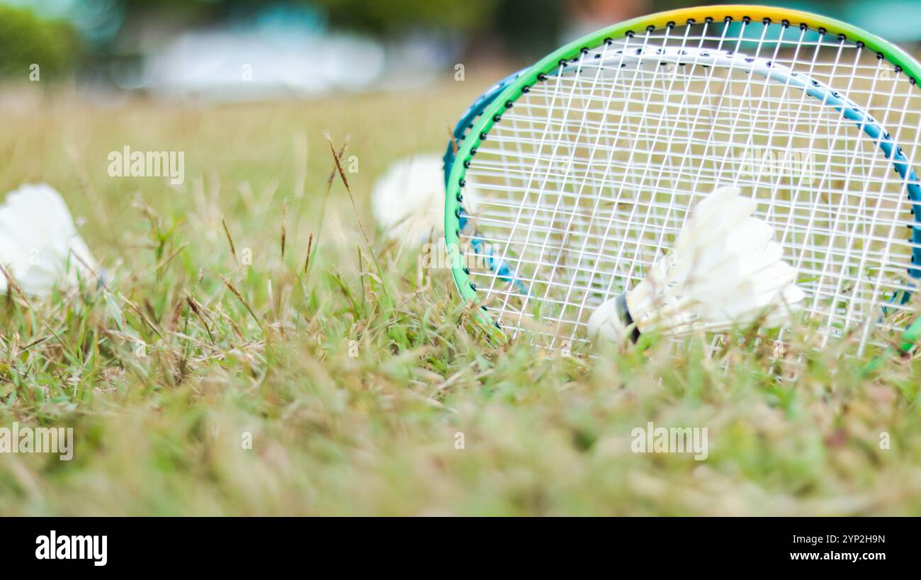 A badminton racket and shuttlecock resting on a grassy field ...