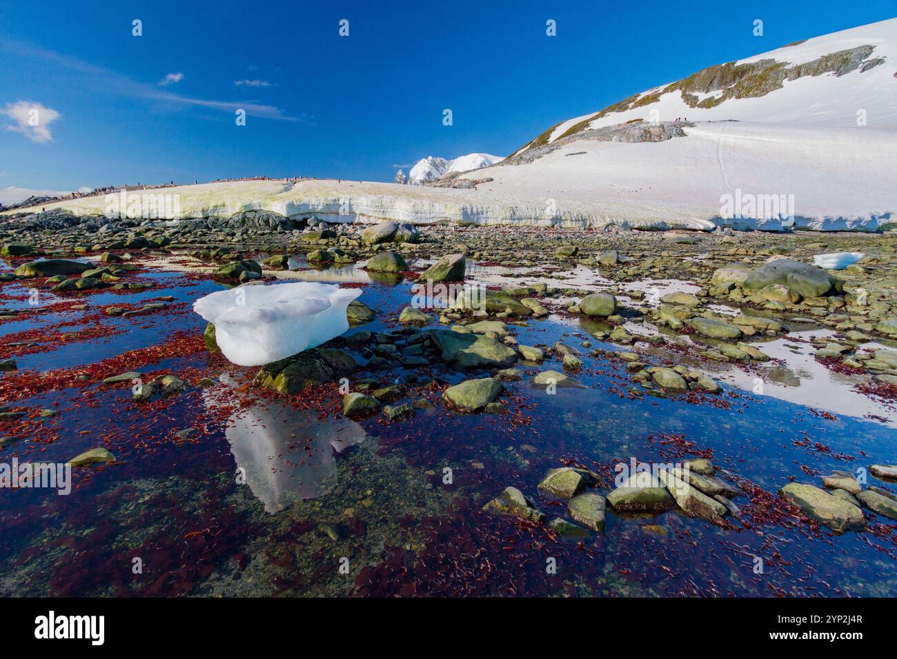 Iceberg and coast around the Antarctic Peninsula during the summer ...