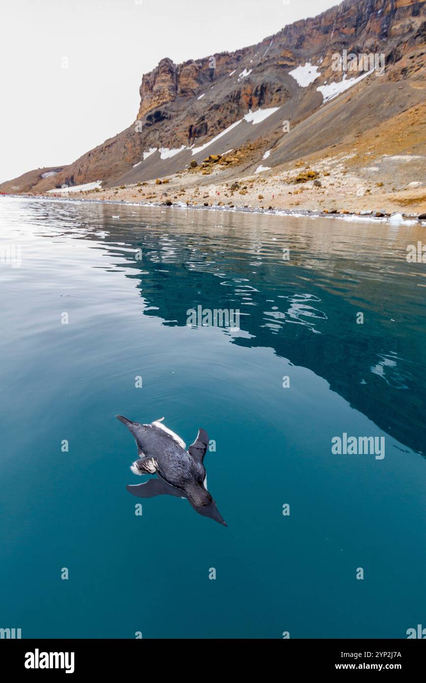 Marine biodiversity documentation hi-res stock photography and images ... Marine biodiversity documentation hi-res stock photography and images ...