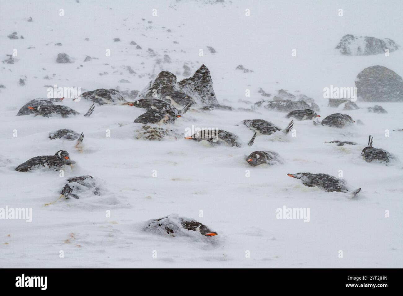 Storm dynamics hi-res stock photography and images - Alamy