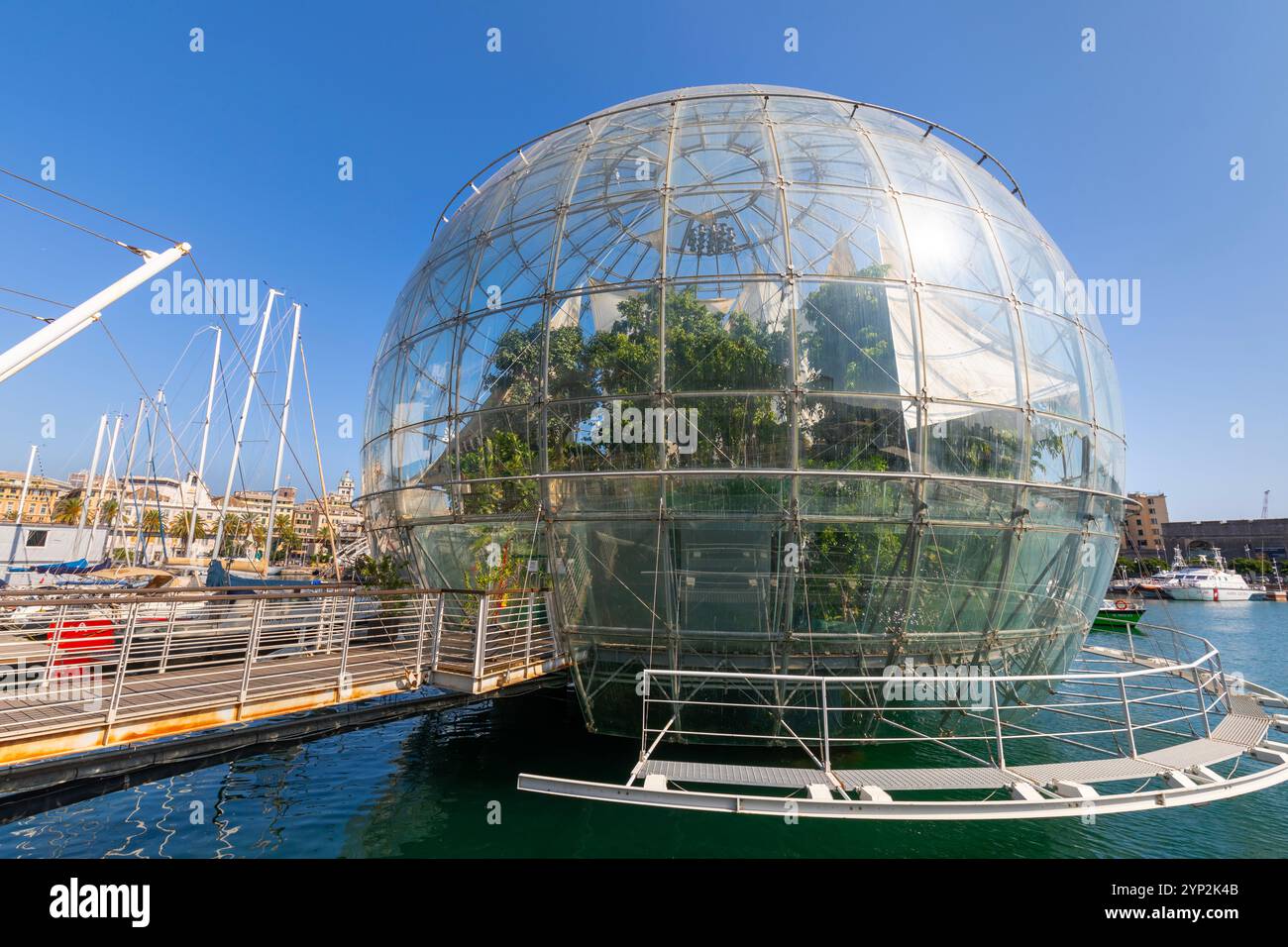 Tropical wildlife in a waterfront sphere hi-res stock photography and ...