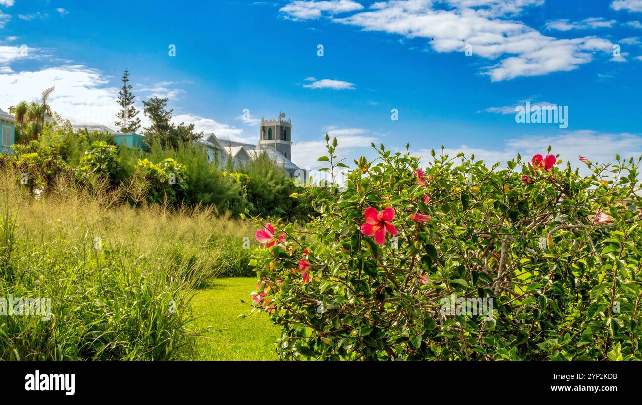 The Marsden First United Methodist Church, seen through hibiscus ...