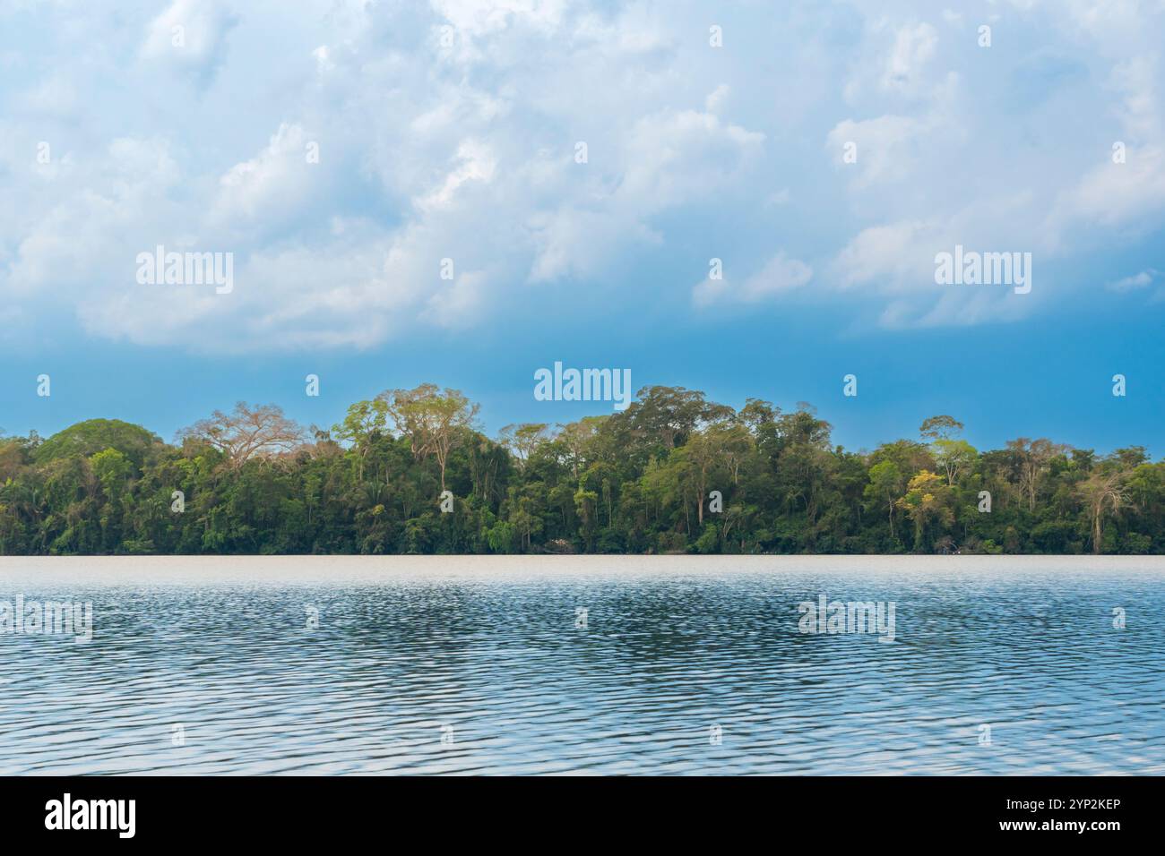 Lake Sandoval, Tambopata National Reserve, Puerto Maldonado, Madre de ...