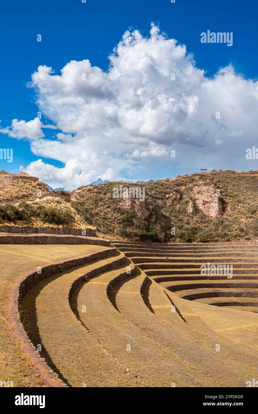 Ancient Inca terrace fields at Moray, Maras, Sacred Valley, Cuzco ...