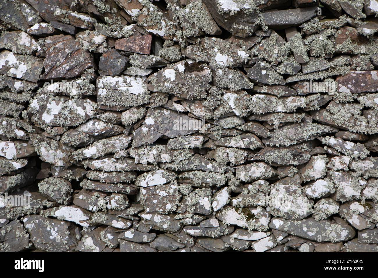 Stone wall, Whithorn, Dumfries and Galloway Stock Photo - Alamy