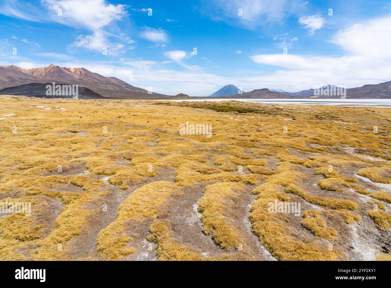 El Misti and Chachani volcanoes seen from salt flats of Salinas y ...