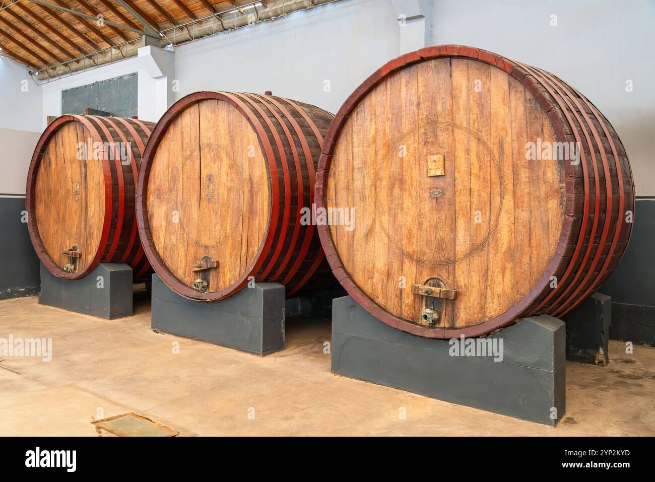 Oak aging barrels for wine, Vista Alegre Winery, Ica, Peru, South ...