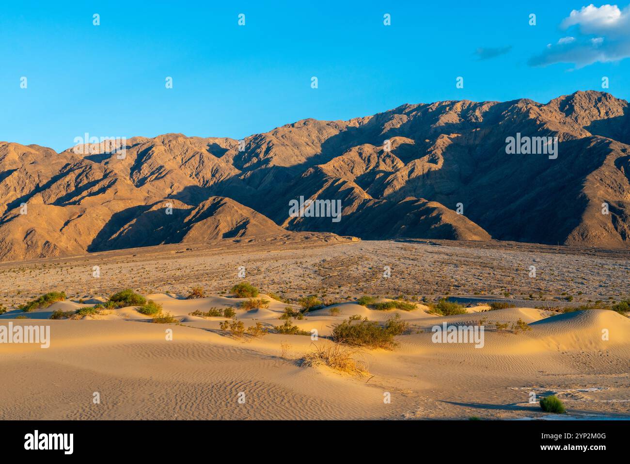 Mesquite flat sand dunes and rocky mountains in desert hi-res stock ...