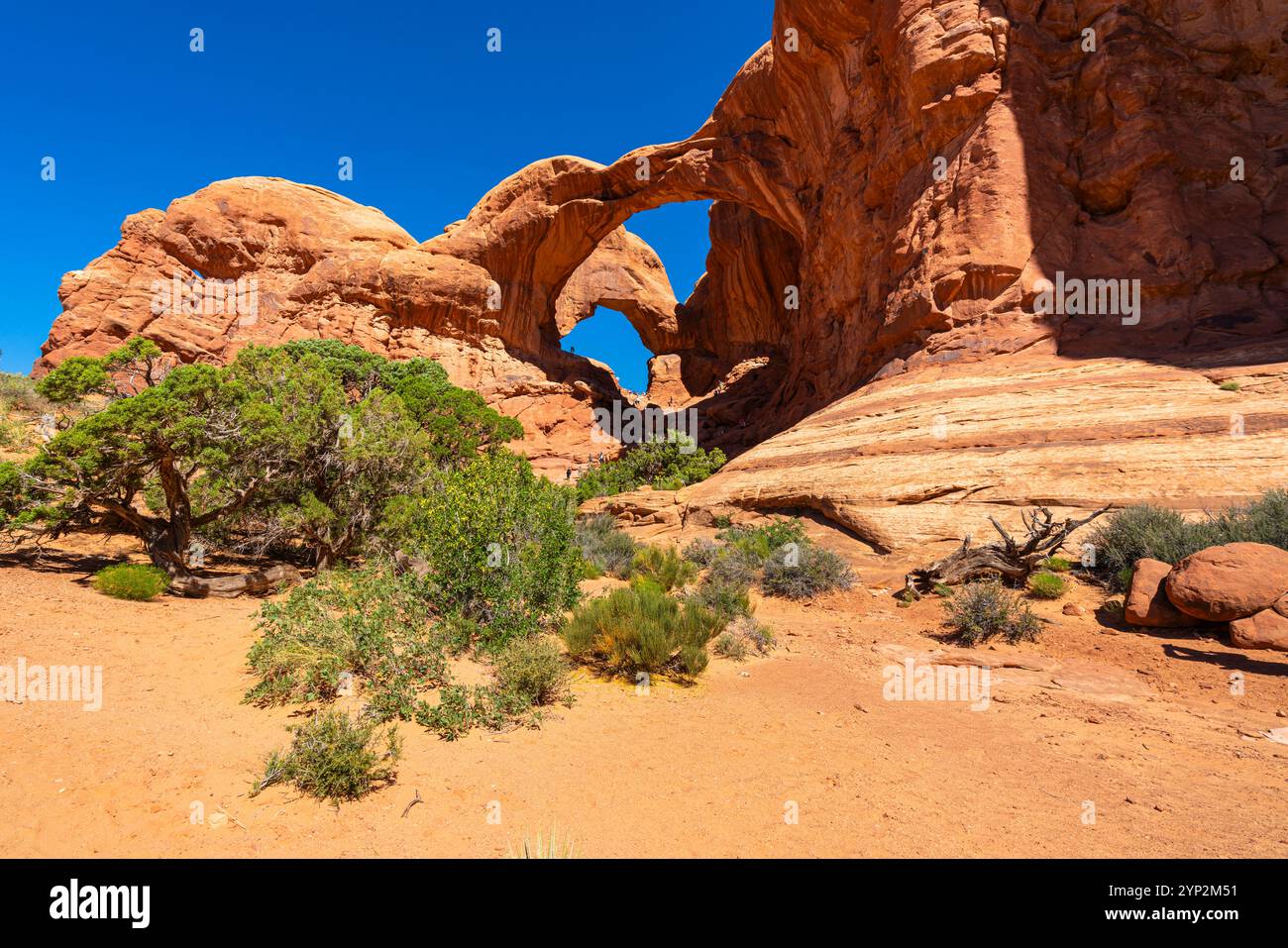 Double Arch in the Windows Section, Arches National Park, Moab, Utah ...