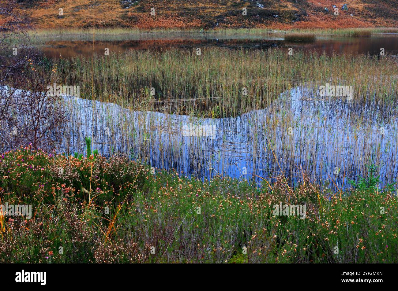 Sutherland landscape in autumn, Highland, Scotland, United Kingdom ...