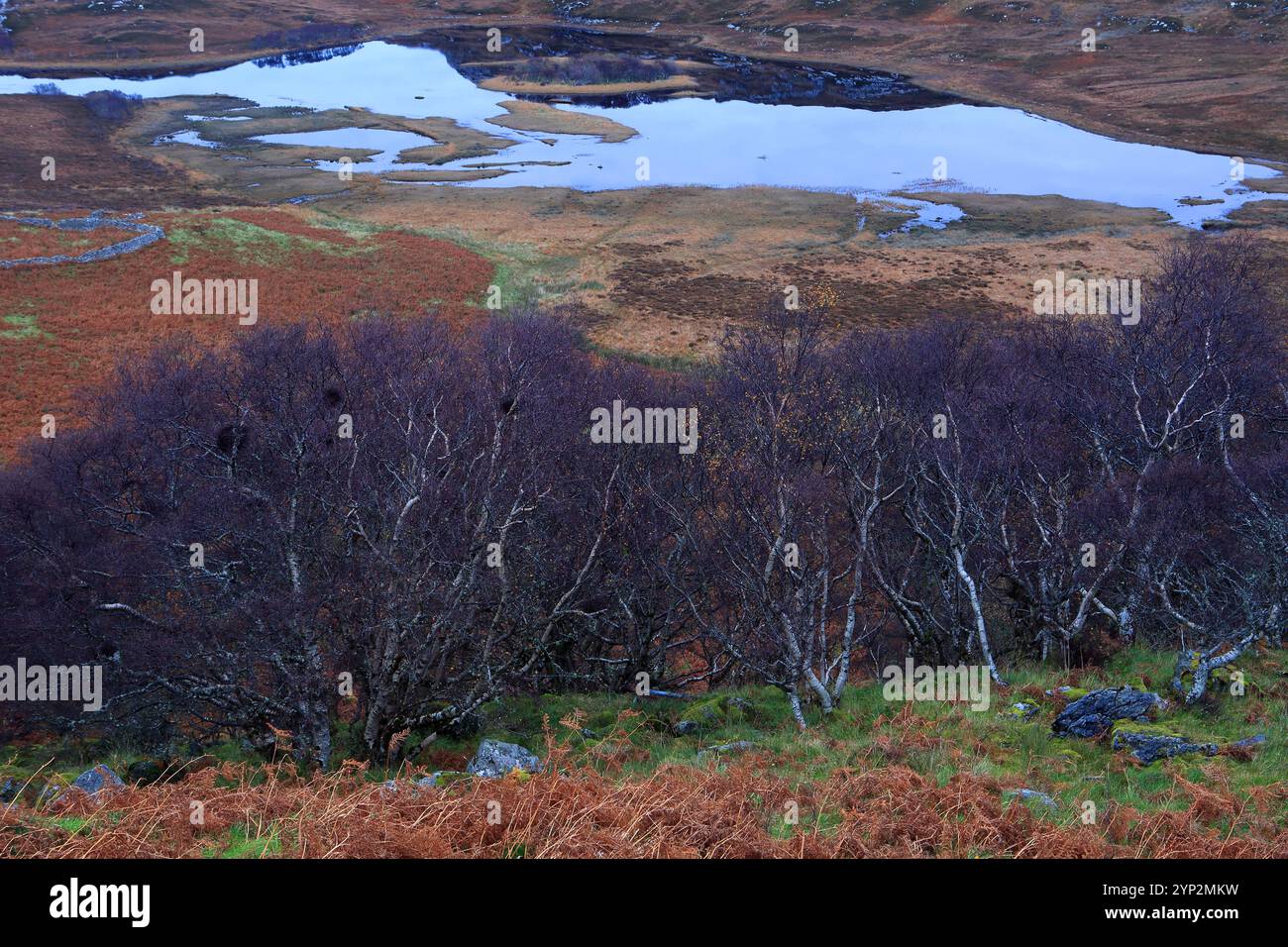 Scotland regional colors hi-res stock photography and images - Alamy