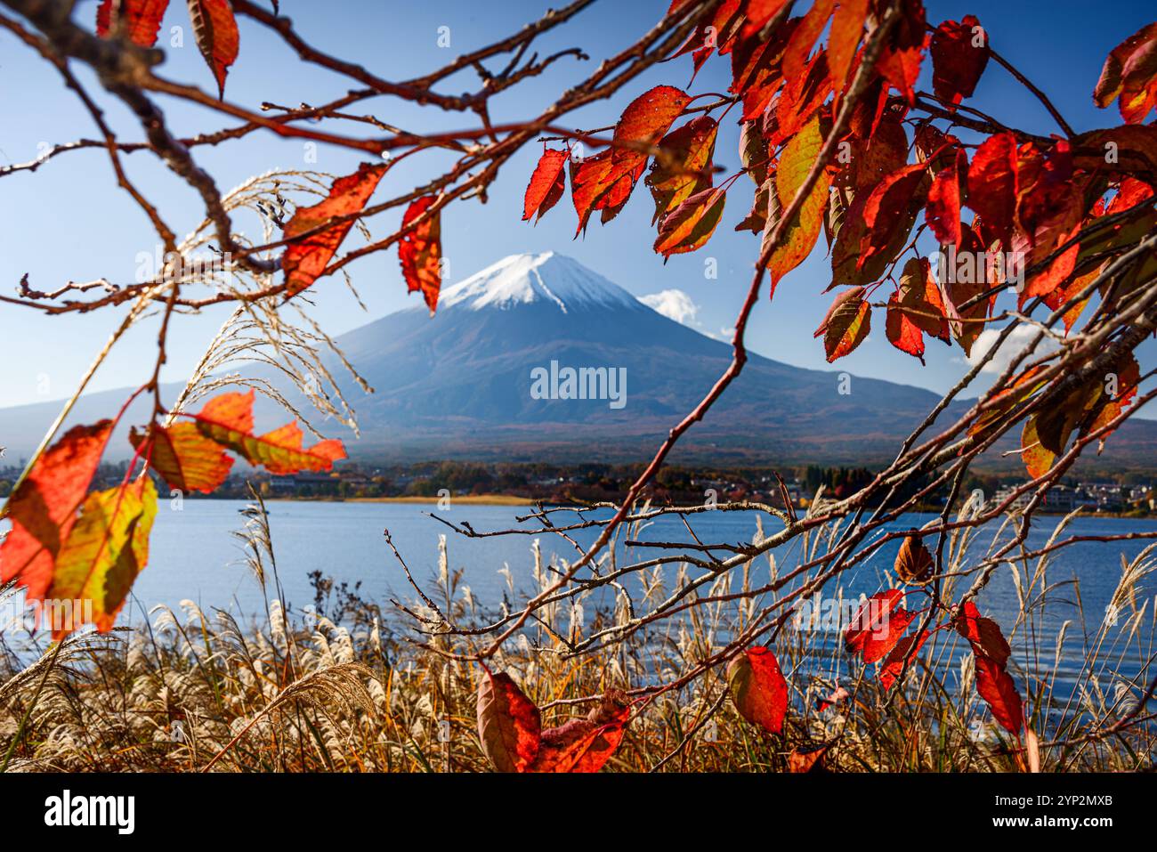 Mount Fujiyama (Mount Fuji), UNESCO World Heritage Site, iconic volcano ...