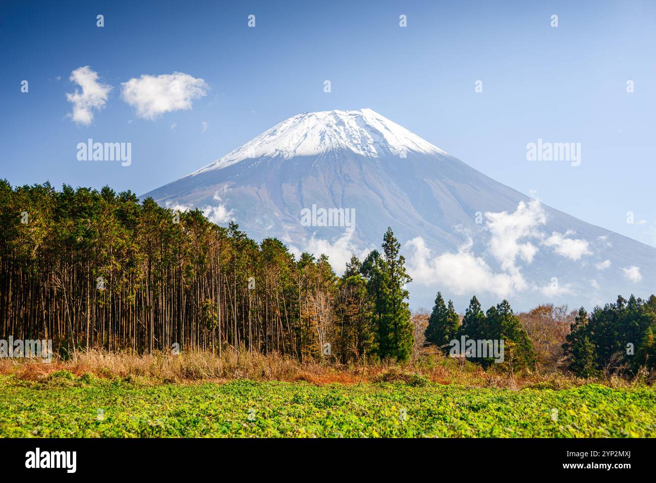 Mount Fujiyama (Mount Fuji), UNESCO World Heritage Site, iconic volcano ...