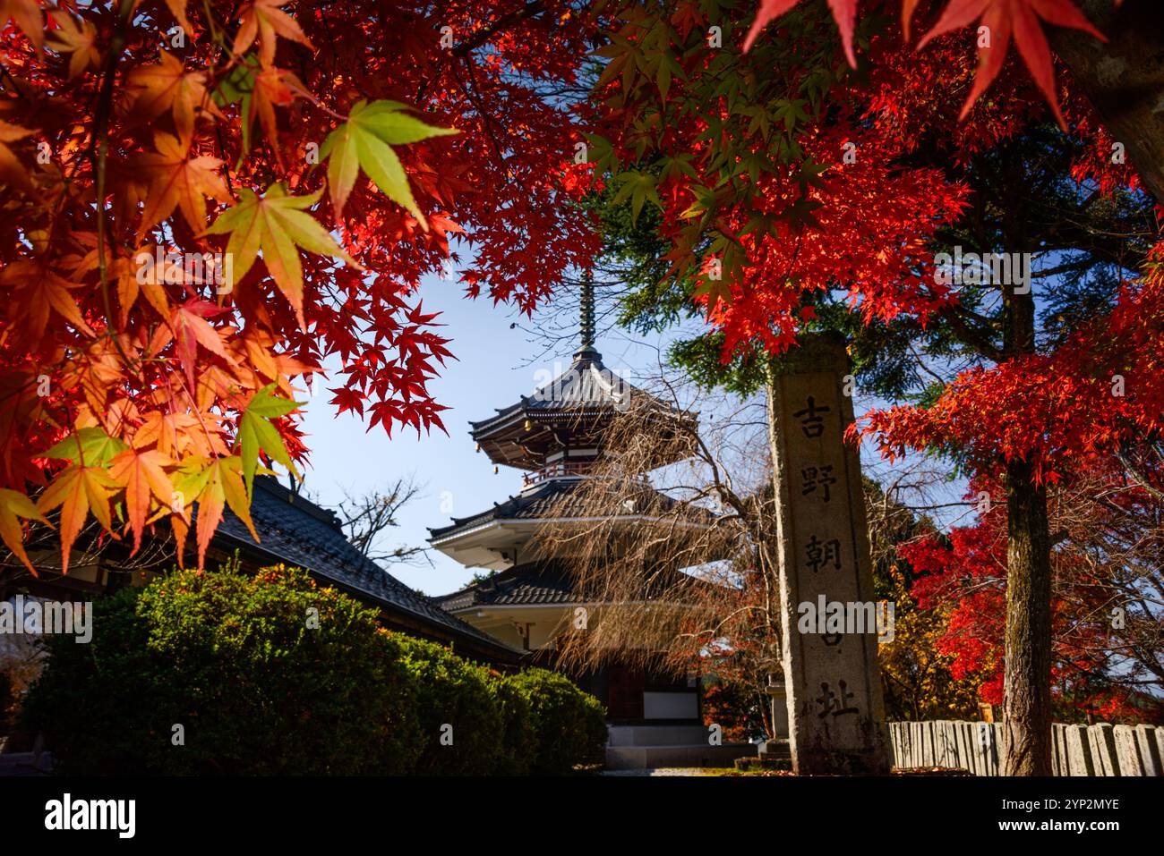 Autumn at yoshino yama holy temple mountain near nara hi-res stock ...