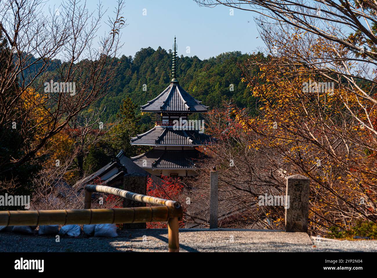 Kinpusenji Temple, in autumn, Yoshino Yama, holy temple mountain, near ...