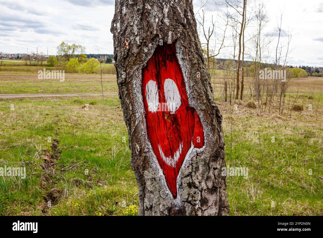 Red smiley face on tree trunk Stock Photo - Alamy