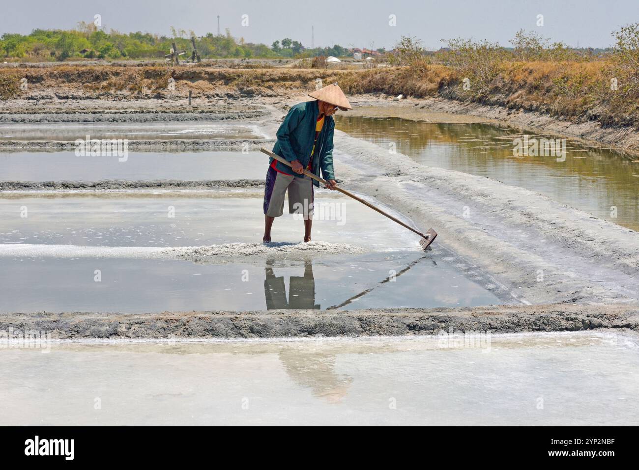 Salt ponds of Punjulharjo Village near Lasem, Java island, Indonesia ...