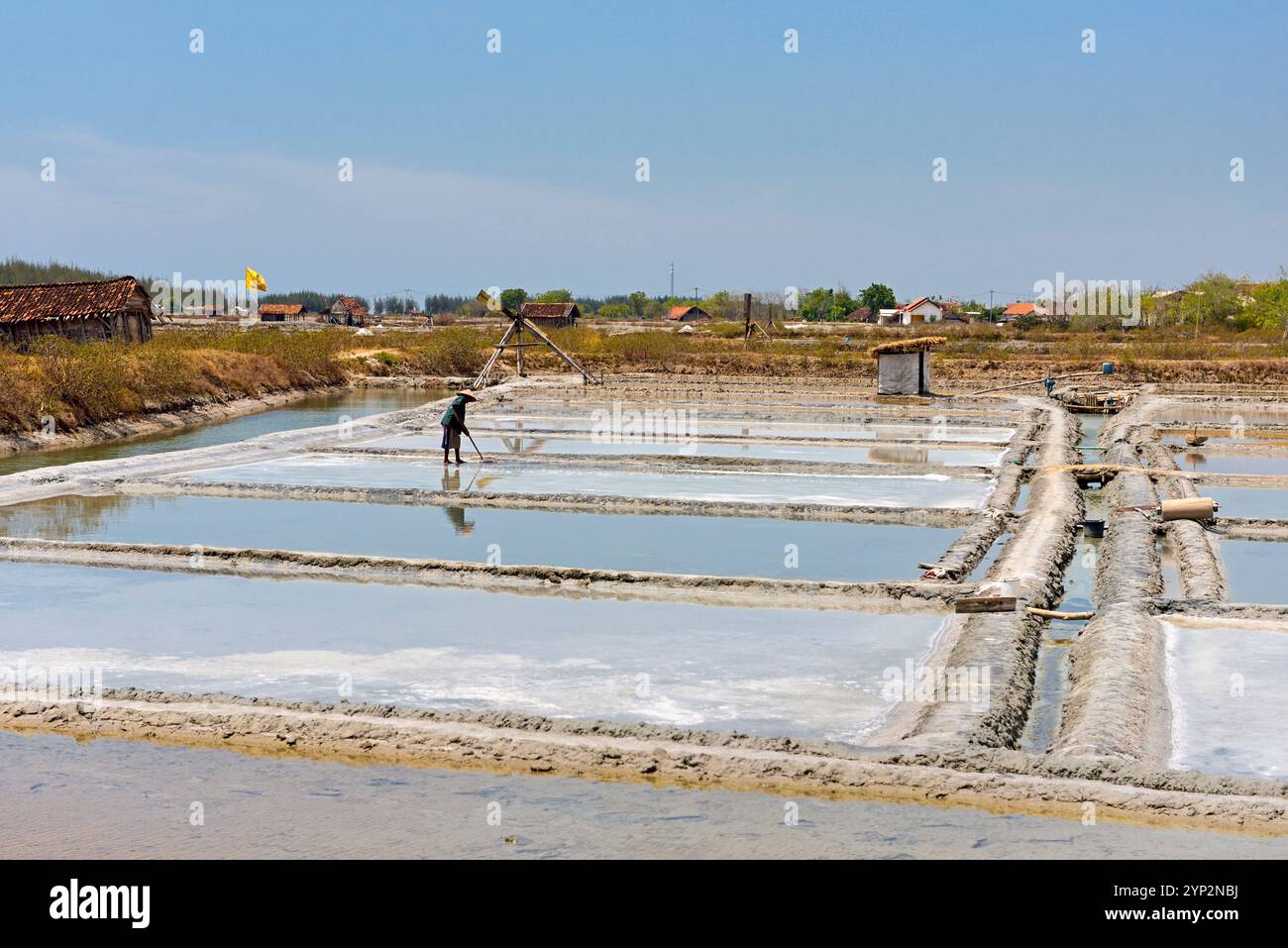 Salt ponds of Punjulharjo Village near Lasem, Java island, Indonesia ...
