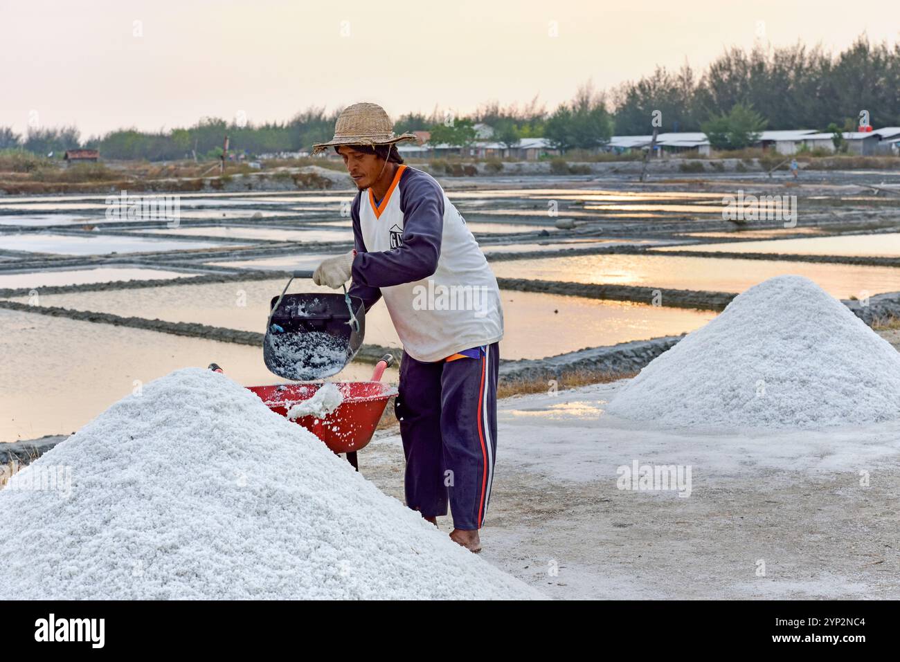 Salt farming hi-res stock photography and images - Alamy