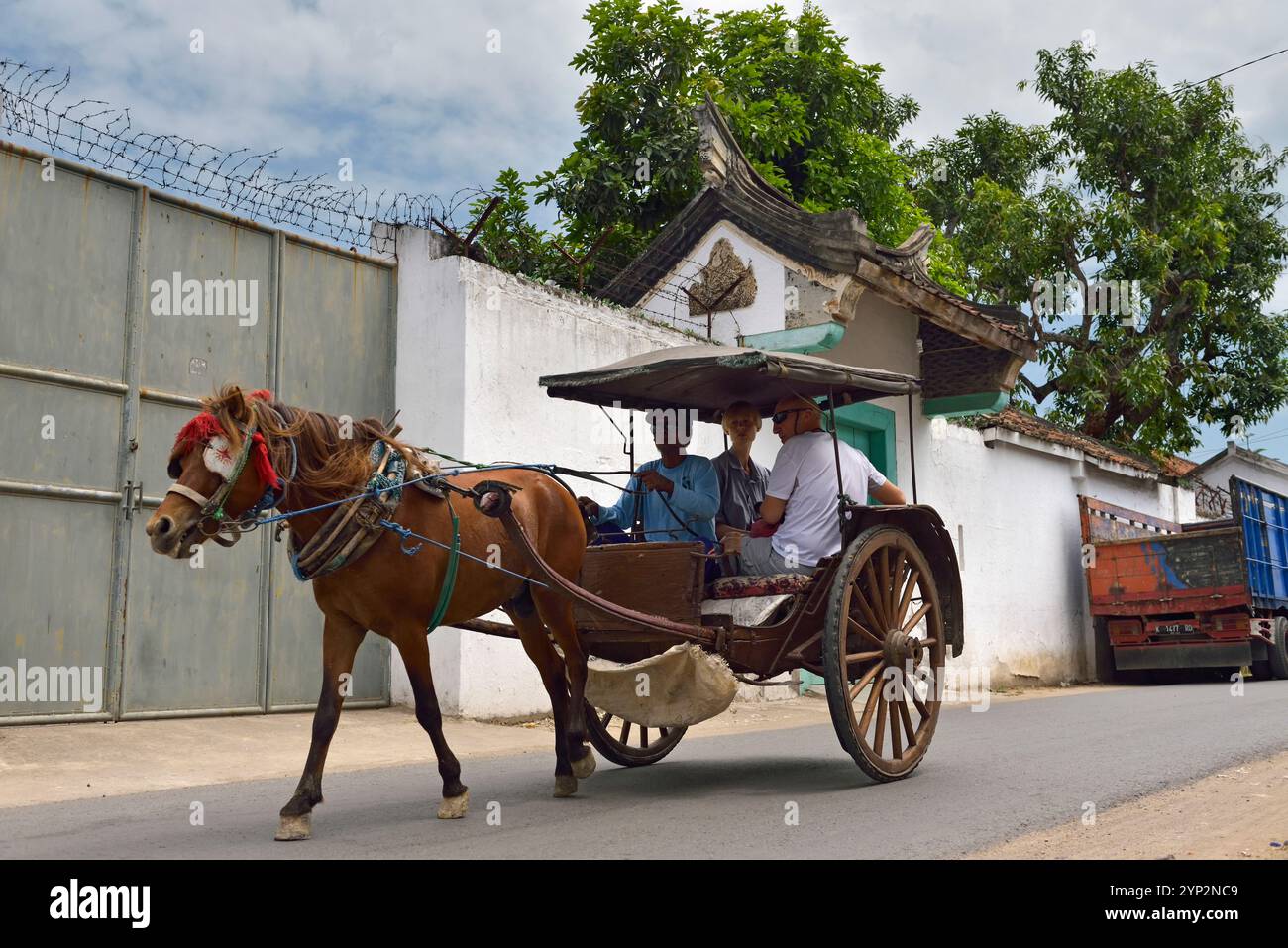 Dokar riding, horse-drawn cart, a typical Indonesian means of transport ...