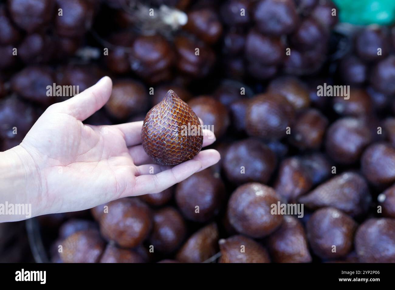 Fruit identification hi-res stock photography and images - Alamy