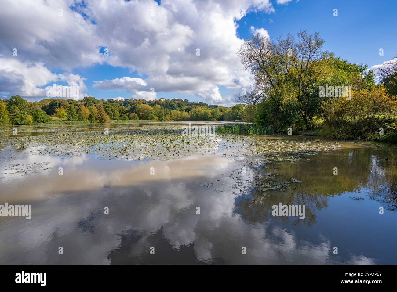 Ecological ponds hi-res stock photography and images - Alamy