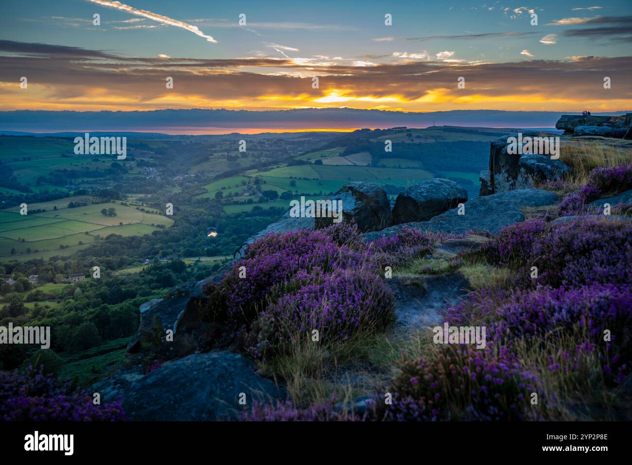 View of landscape from Curbar Edge with purple flowering heather at ...