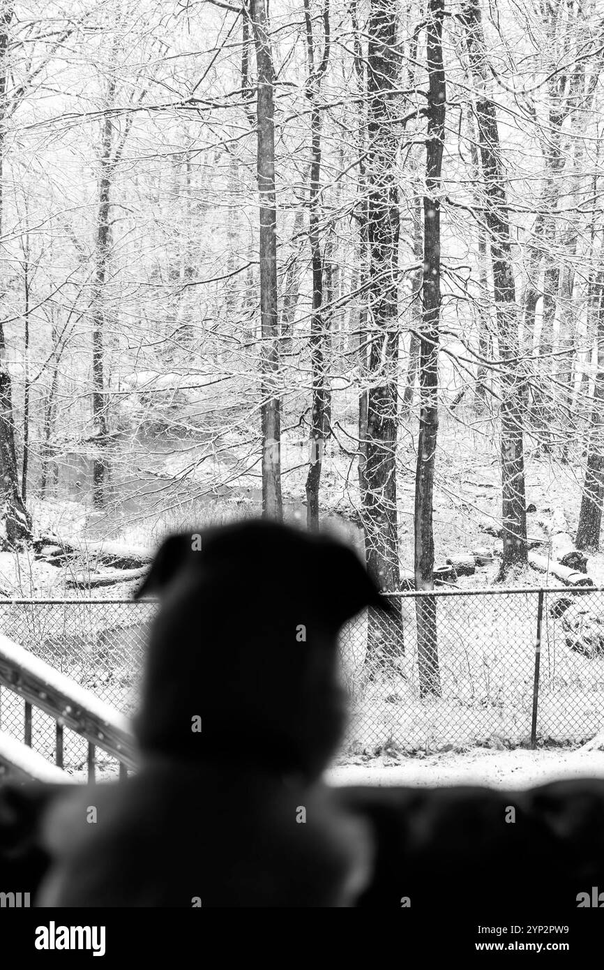 The great window Black and White Stock Photos & Images - Alamy