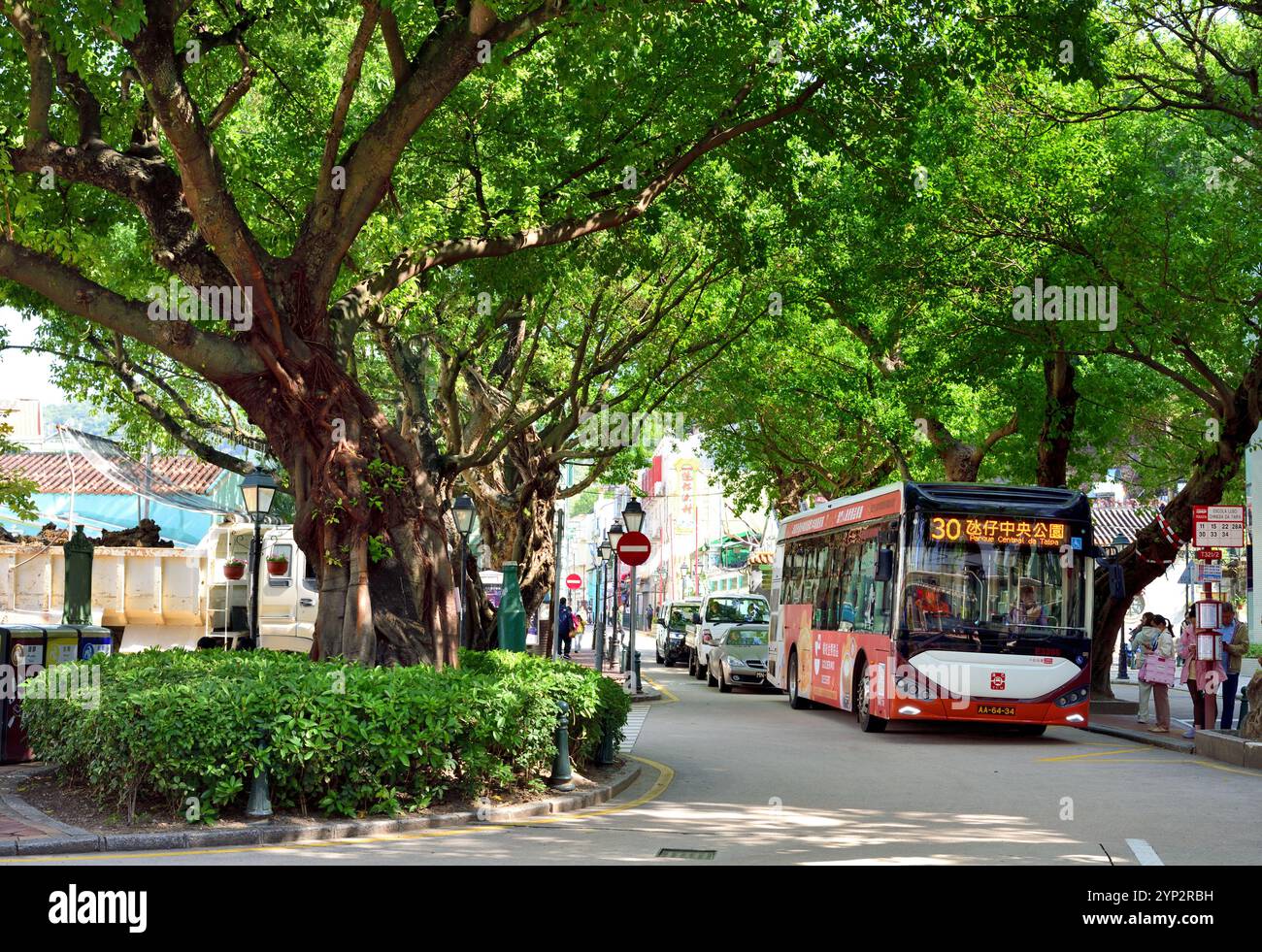 Bus stop under tree, Macau Stock Photo - Alamy