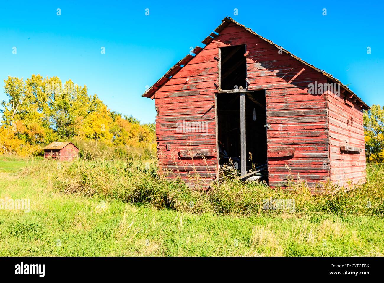 A red barn with a large open doorway sits in a grassy field. The barn ...