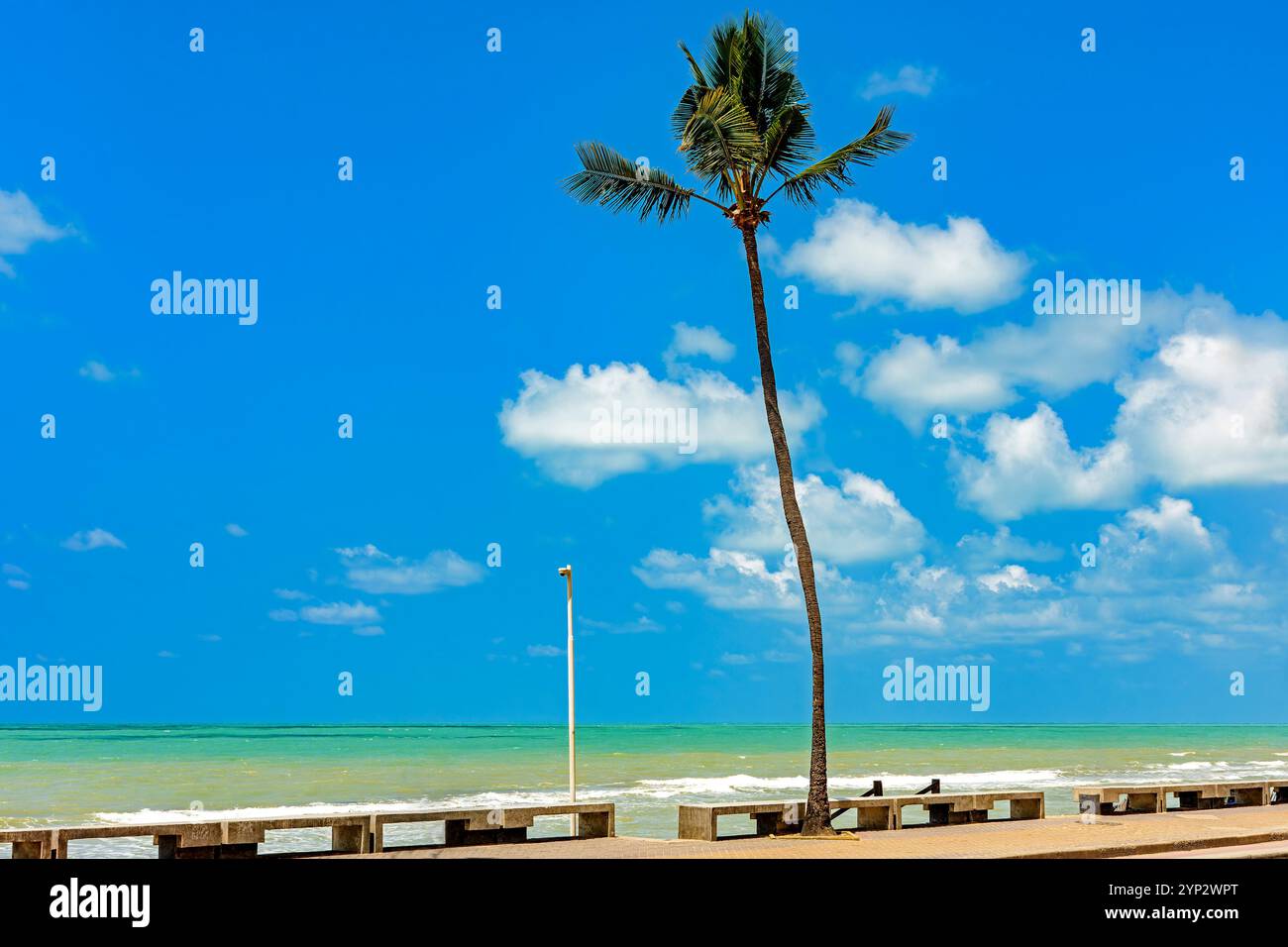 Boa Viagem Beach, the most famous in the urban area of the city of ...