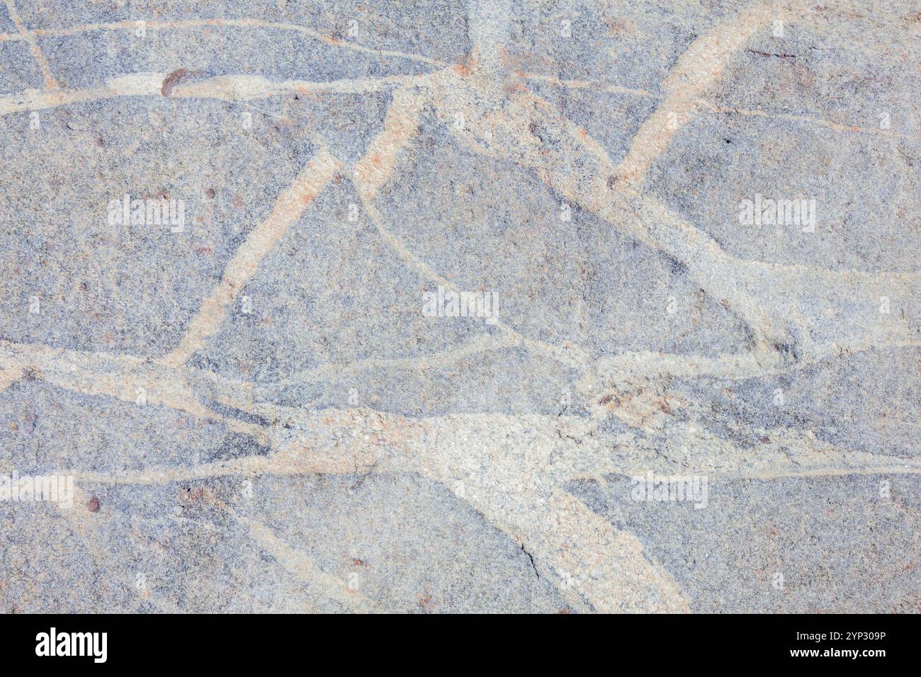 Close up natural grey hi-res stock photography and images - Alamy