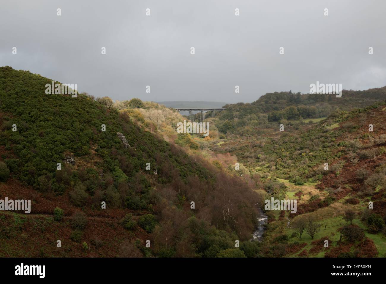 The Meldon Viaduct and the West Okement Valley, Devon, England Stock ...
