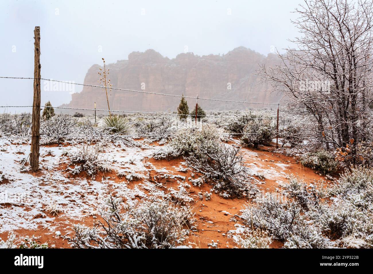 A snowy desert landscape with a fence and a wire. The fence is covered ...