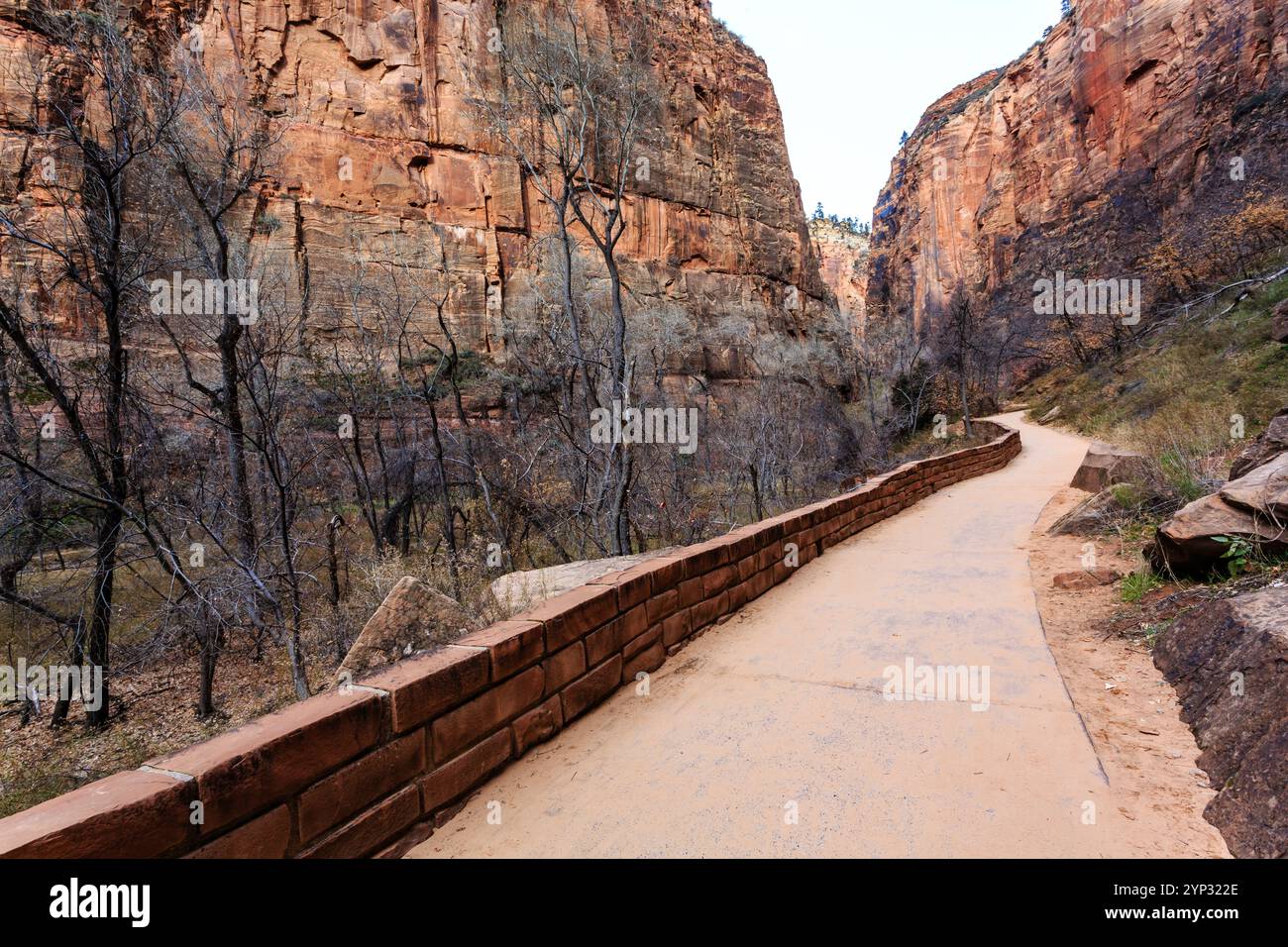 A path winds through a canyon with a wall on either side. The path is ...