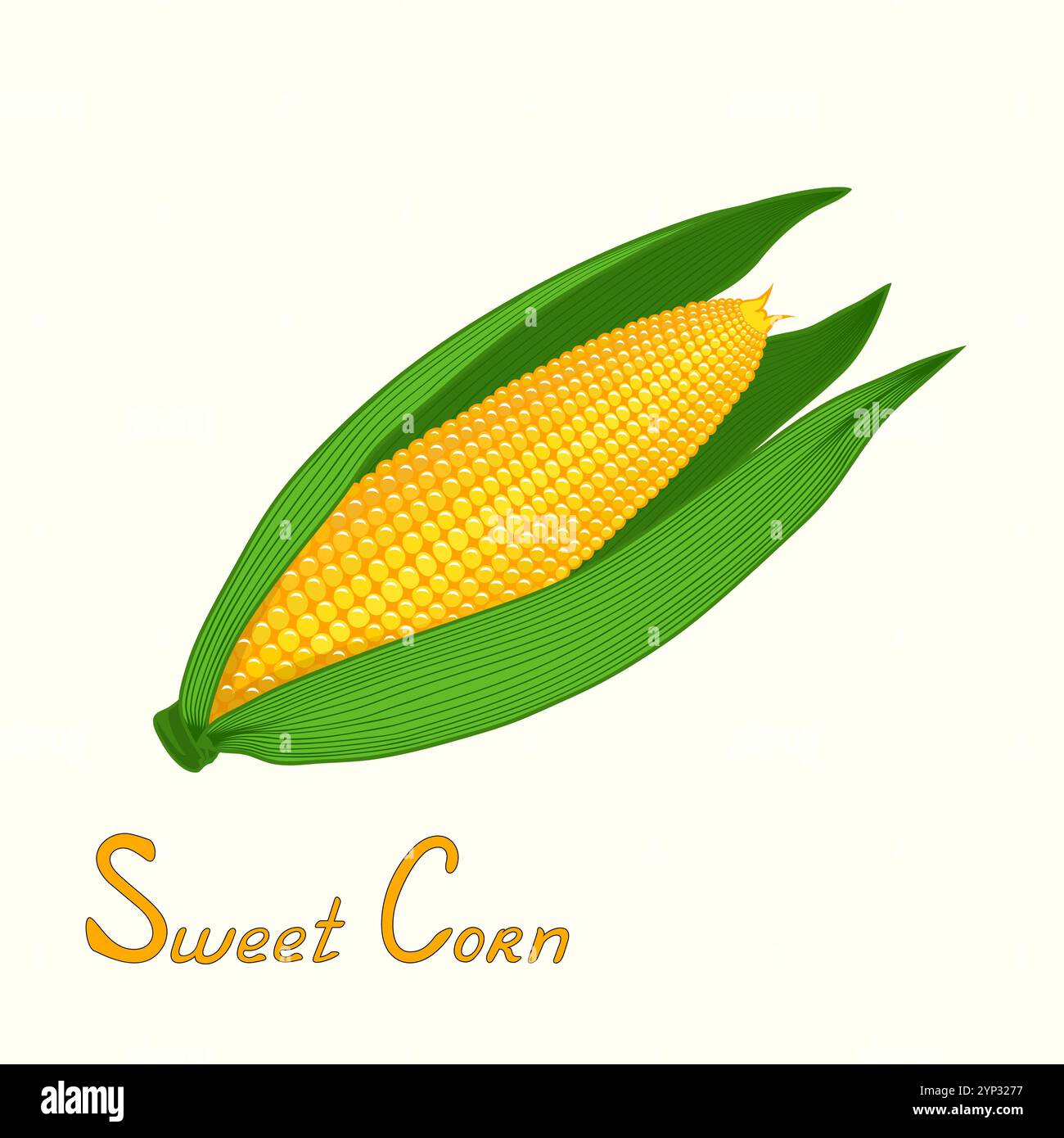 Sweet corn in a cob vector clipart creative vegetable illustration with ...