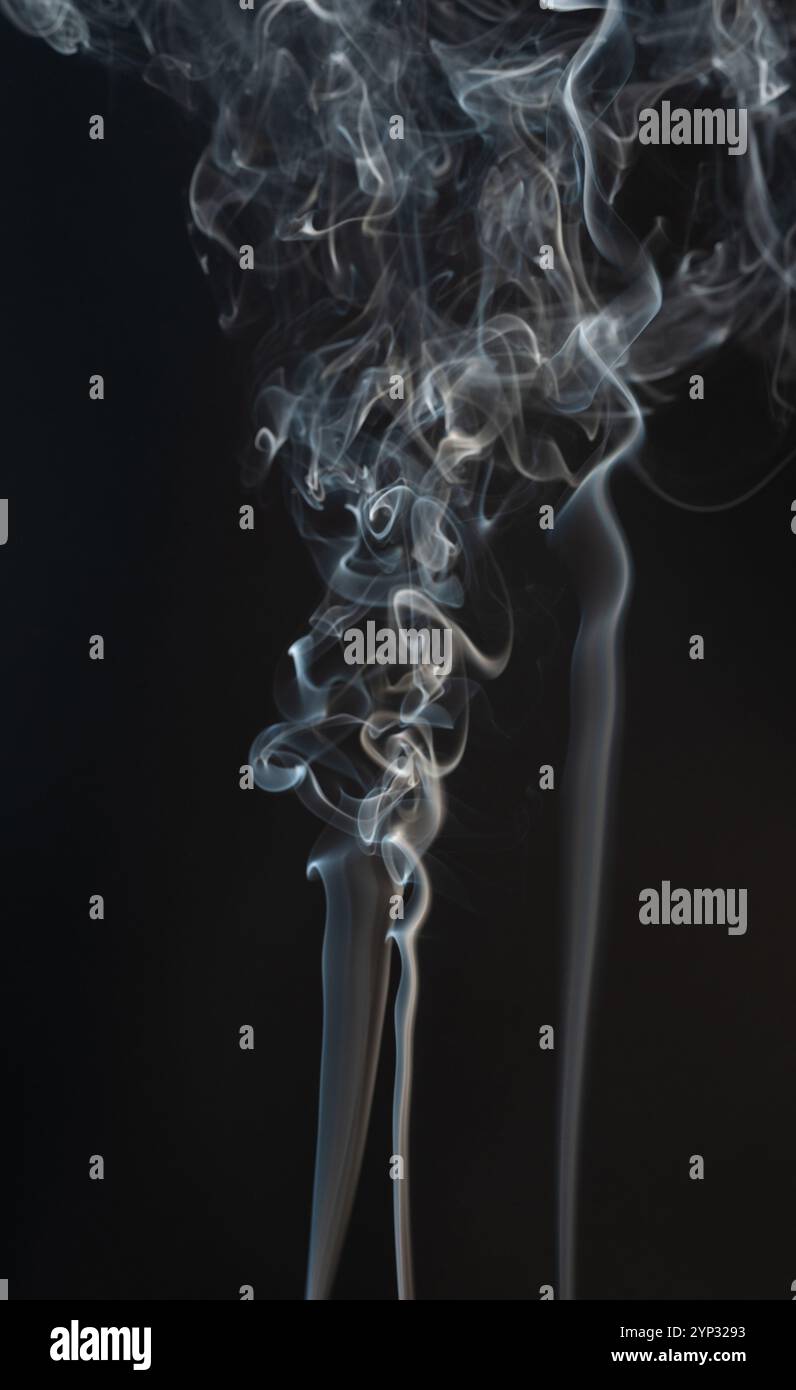 Curly white smoke lines isolated on black studio background Stock Photo ...