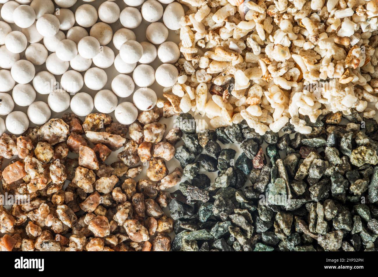 Useful elements (Calcium, Magnesium, Sodium, Potassium) for ...