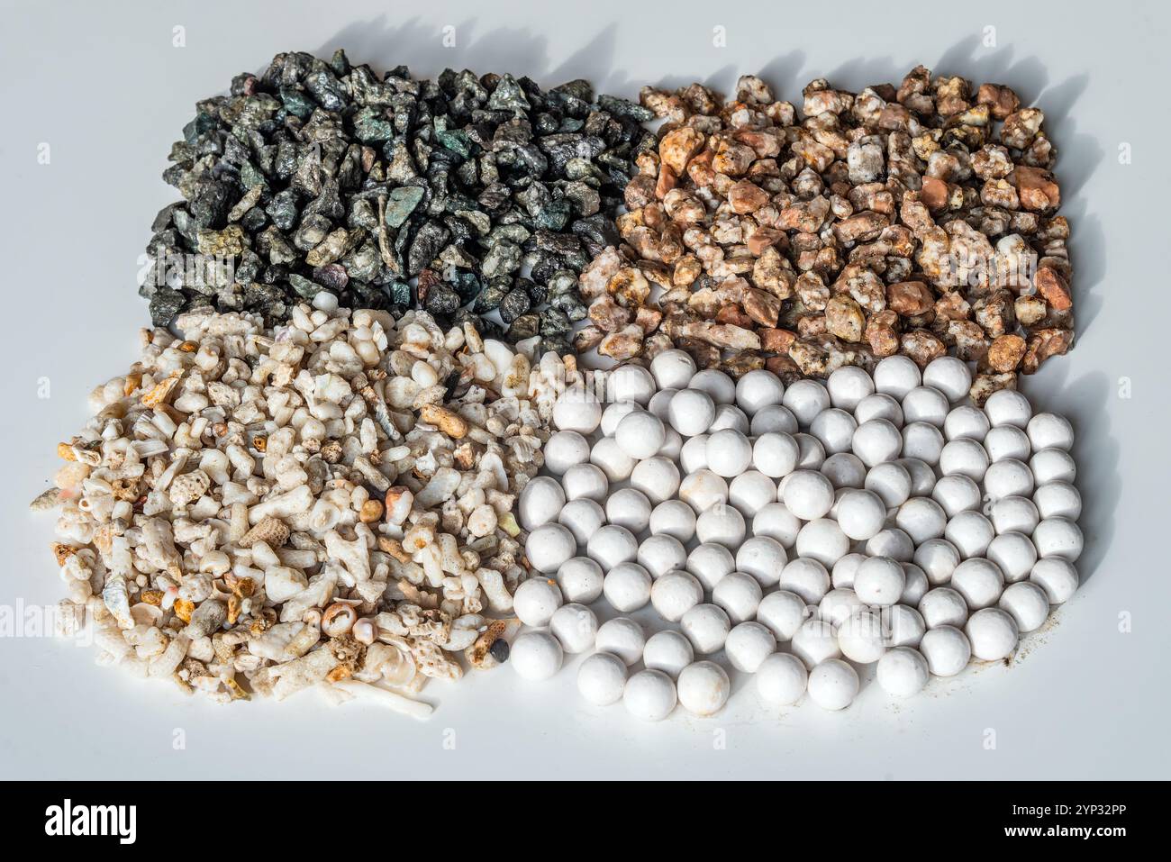 Useful elements (Calcium, Magnesium, Sodium, Potassium) for ...