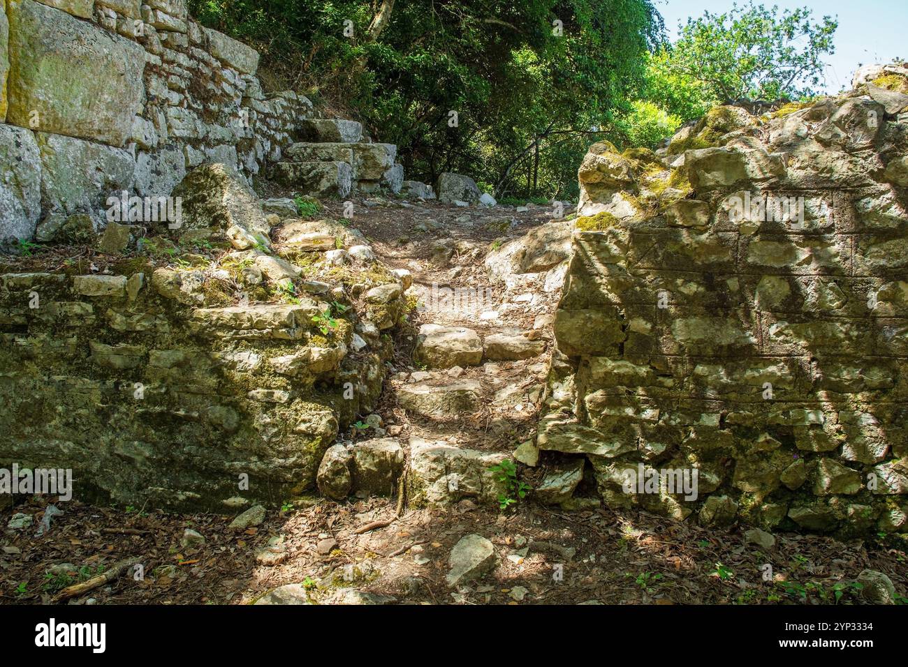 Roman columbarium hi-res stock photography and images - Alamy